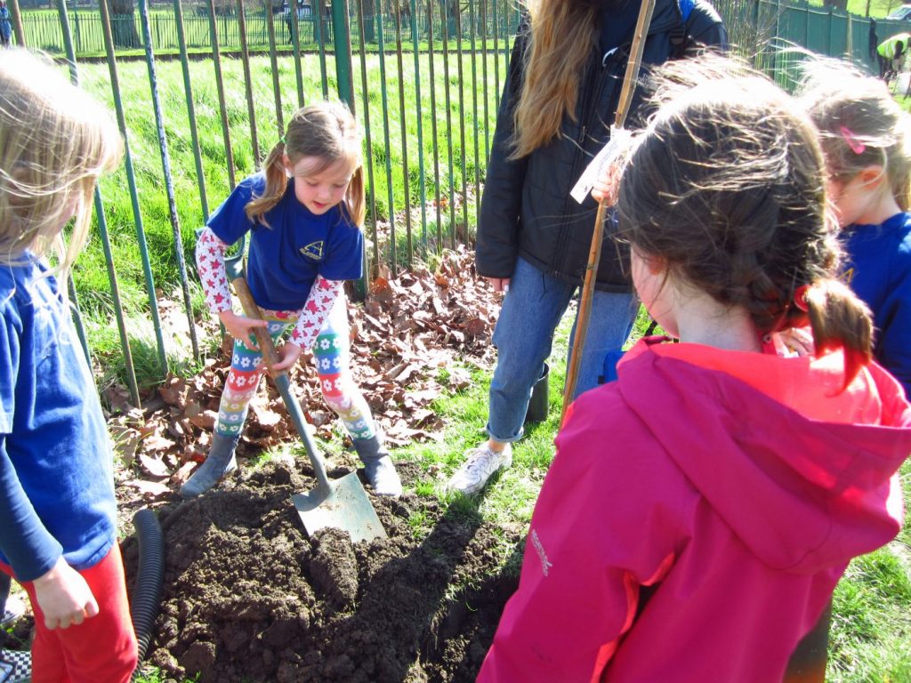 St Aidan's Primary School | Green class have planted trees in Finsbury Park