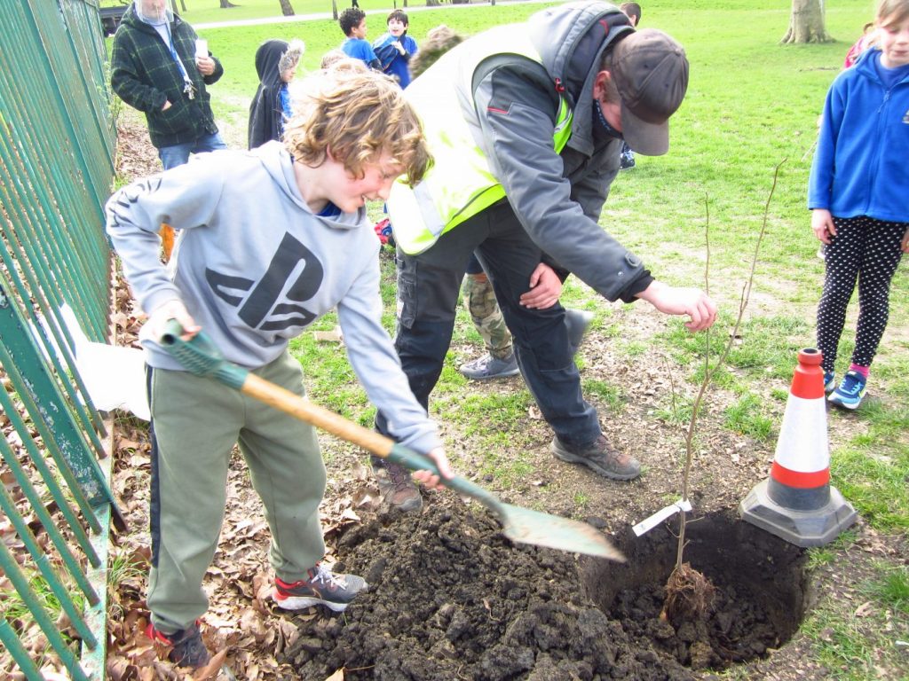 St Aidan's Primary School | Green class have planted trees in Finsbury Park